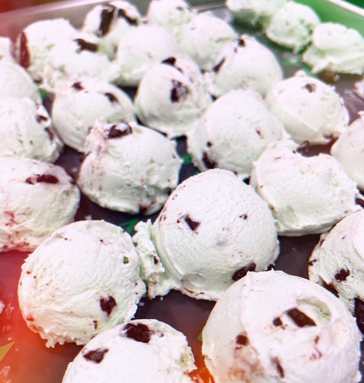 Ice Cream Scoops – Succulent Snacks
